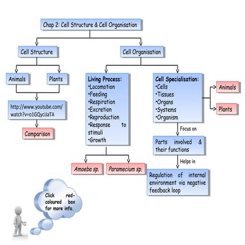 Cell strucure & organisation | PPT