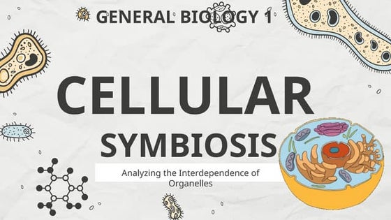 3D ANIMAL AND PLANT CELL. pptx | PPTX | Biological Sciences | Science