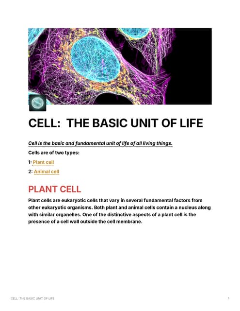 Elodea Plant Cell Structure | PDF