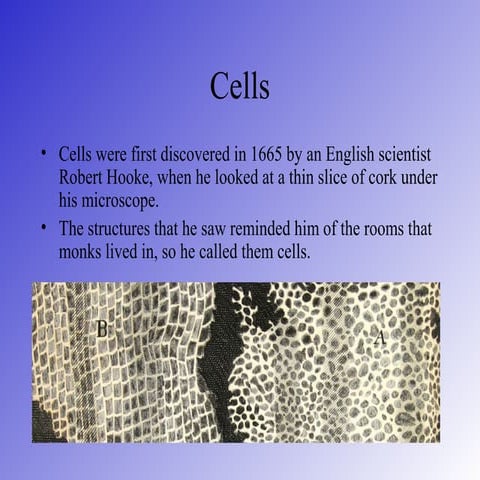 Cell theory | PPT | Biological Sciences | Science