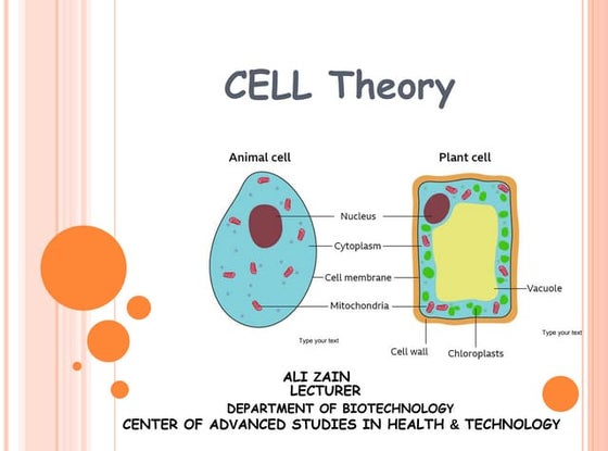 Cell Structure And Function Cell Structure And Function