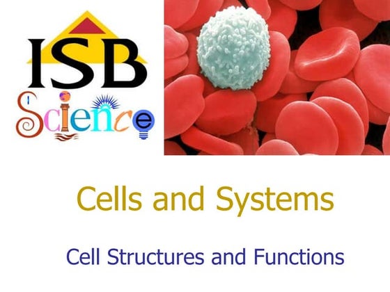Parts of the Cell | PPT