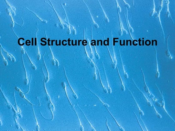 Cell Theory | PPT | Biological Sciences | Science
