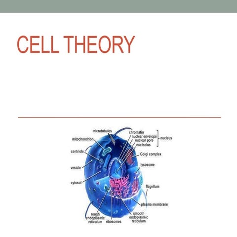 Cell Theory | PPTX
