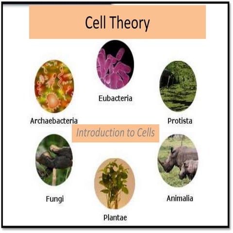 Cell theory intro to cells | PPT