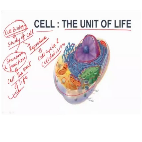 CELL THE UNIT OF LIFE CLASS 1 BIOLOGY CHAPTER 1 TILL LECTURE 02.pdf