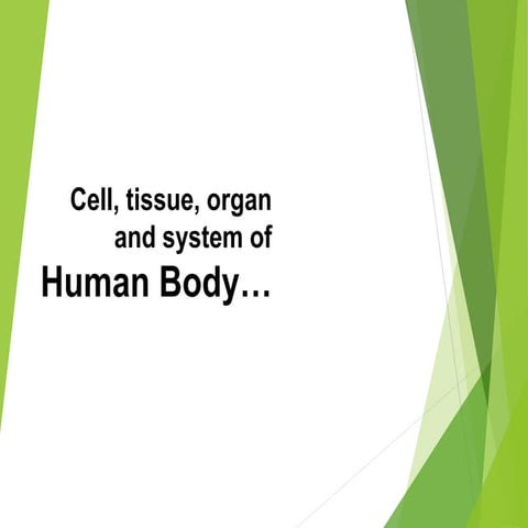 Basics of Body Cell | PPT