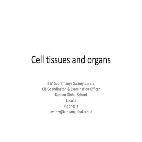 Ppt Cells Tissues Organs And Systems Powerpoint A Guide To The
