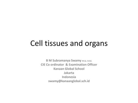 Food tests exam questions and mark scheme | PDF