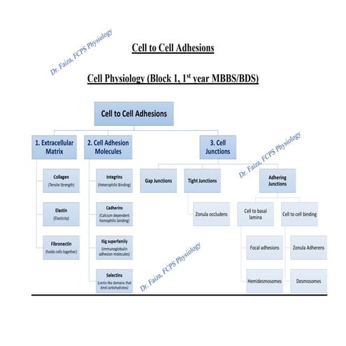 tannerstagescard (1).pdf