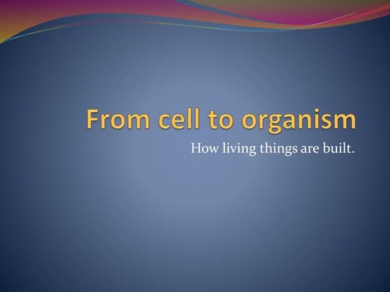 Austin Cell Biology | PPT