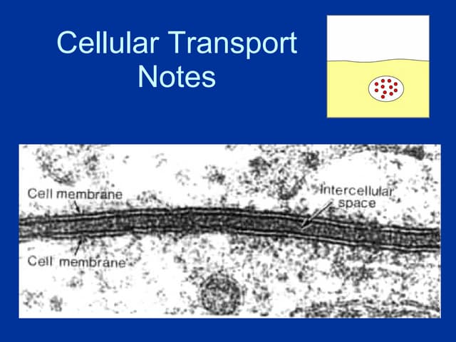 Cell Transport 1 | PPT
