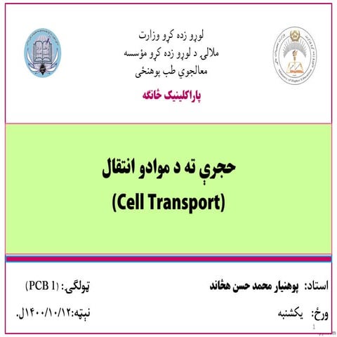 Cell Transport | PDF