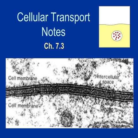 Cell transport notes | PPTX