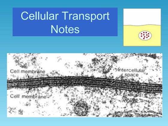 Cell Membrane.ppt