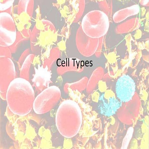 Cell types | PPT