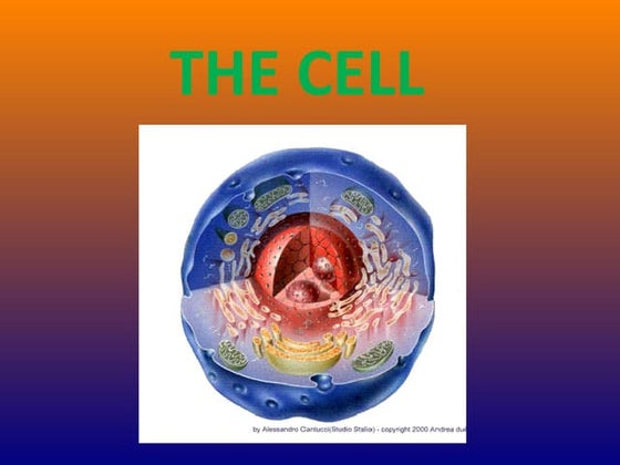 Cellula | PDF