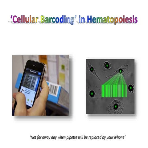 Cellular barcoding’ in hematopoiesis | PPT