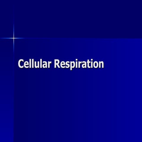 Cellular-Respiration in General Biology 1 | PDF