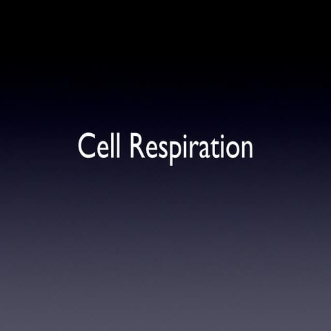 Cellular Respiration | PPT