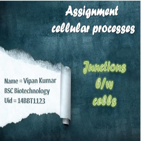 Cell Junctions Cell Adhesion And Extra Cellular Matrix Pptx