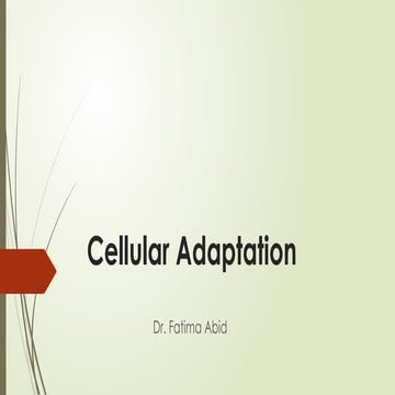 Cellular Adaptation.pptxDXFCGVHB SZDXFGHJKL;'JKL; | PPTX