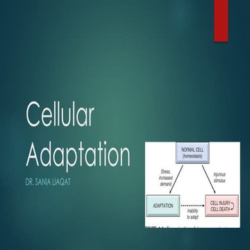 Cellular adaptations | PPTX