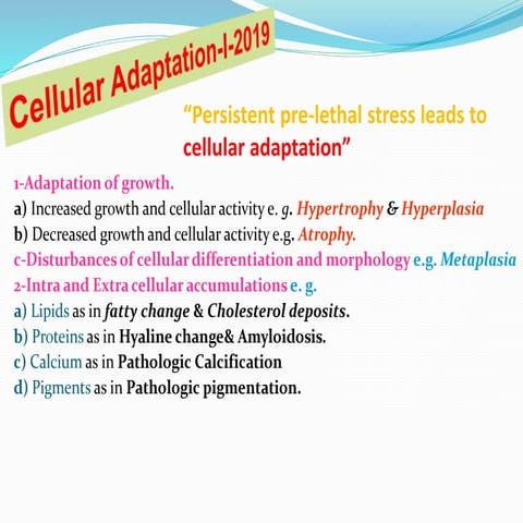 Cellular Adaptation