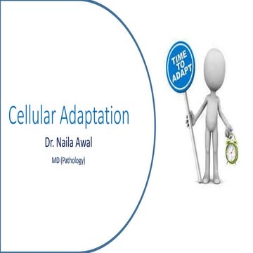 Cellular adaptation | PPT