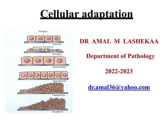 Cellular adaptation | PPTX