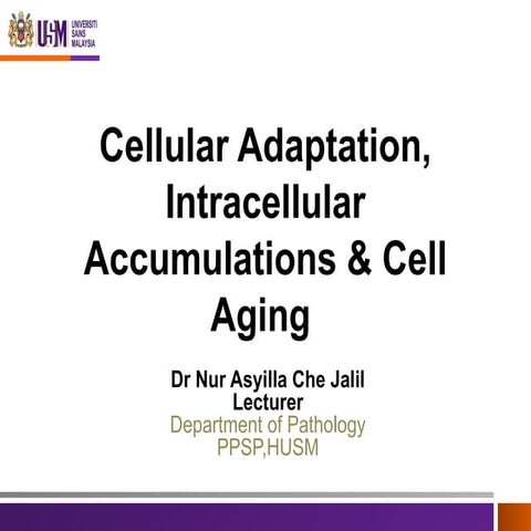 General pathology lecture | PPTX