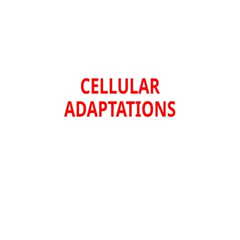 Cellular adaptations | PPTX