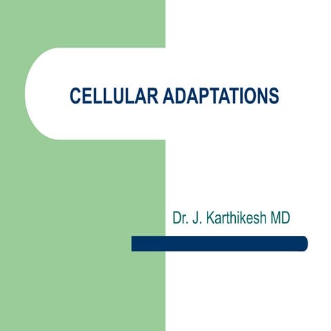 Cellular adaptations | PPTX