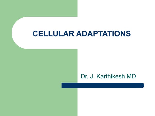 Cellular adaptations | PPTX