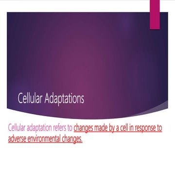 Cellular adaptations & accumulations | PPTX
