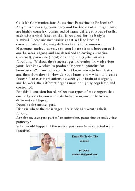 a basic 5 paragraph essay-intro-3 body-conclusioneac | DOCX | Islam ...