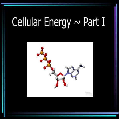 Cellular Energy pt.1 | PPT