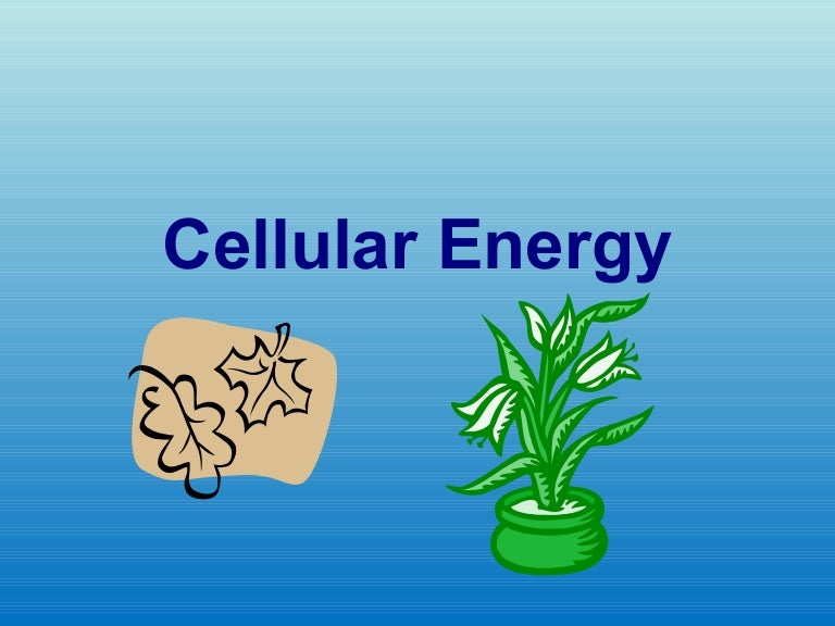 Cellular energy&photo introacademy