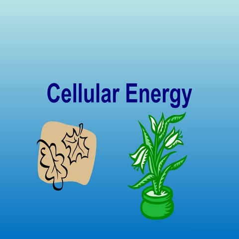 Cellular energy&photo introacademy | PPT