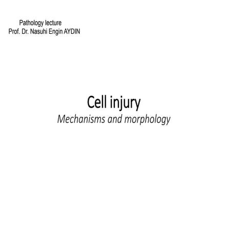 Cellular injury - intoductory pathology to disease | PPT