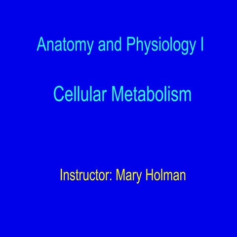 Cellular Metabolism.ppt