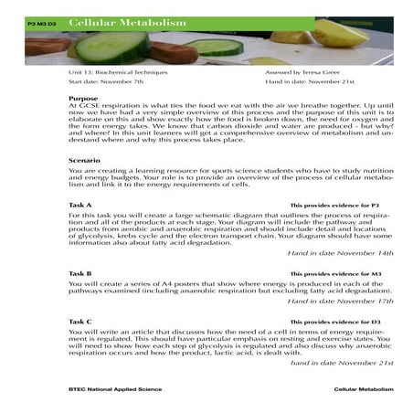 Cellular Metabolism Assignment | PDF