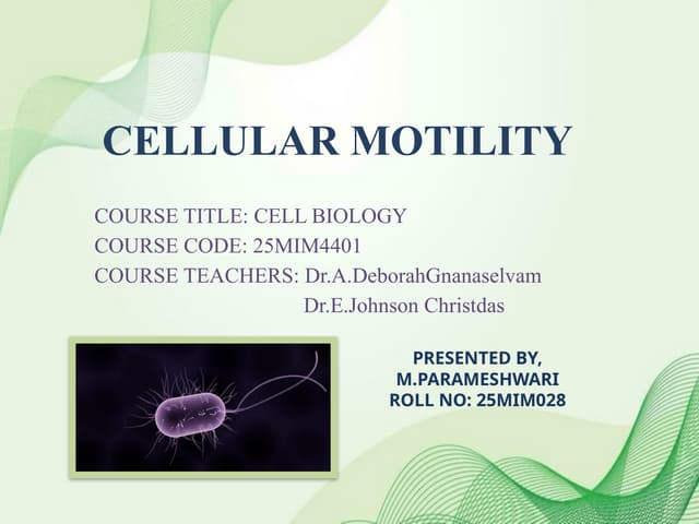 morphogenetic movements-developmental biology | PPTX