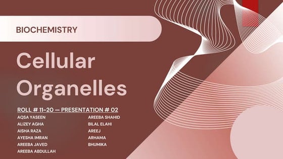 Cell organelles | PPT