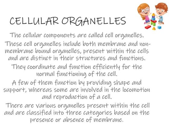 Structure and functions of cell organelles | PPT | Biological Sciences ...