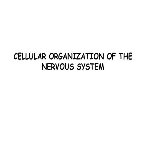 CELLULAR ORGANIZATION OF THE NERVOUS SYSTEM.pptx