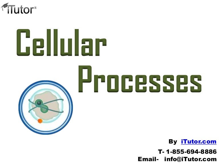 Cellular Process