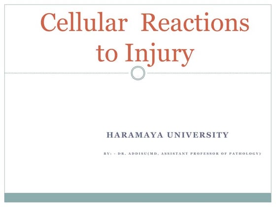 Types of medication orders.pptx