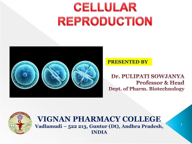 Powerpoint Asexual Reproduction In Plants Pptx 6549