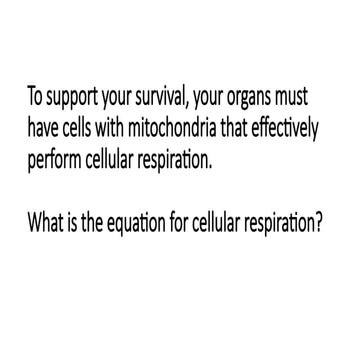 general biology cellular_respiraiton_powerpoint.pptx